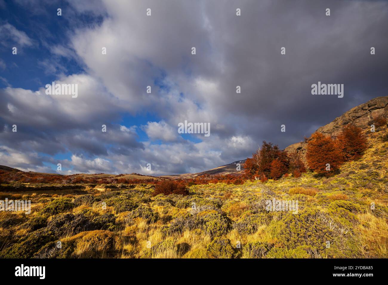 Autumn in Patagonia Stock Photo - Alamy