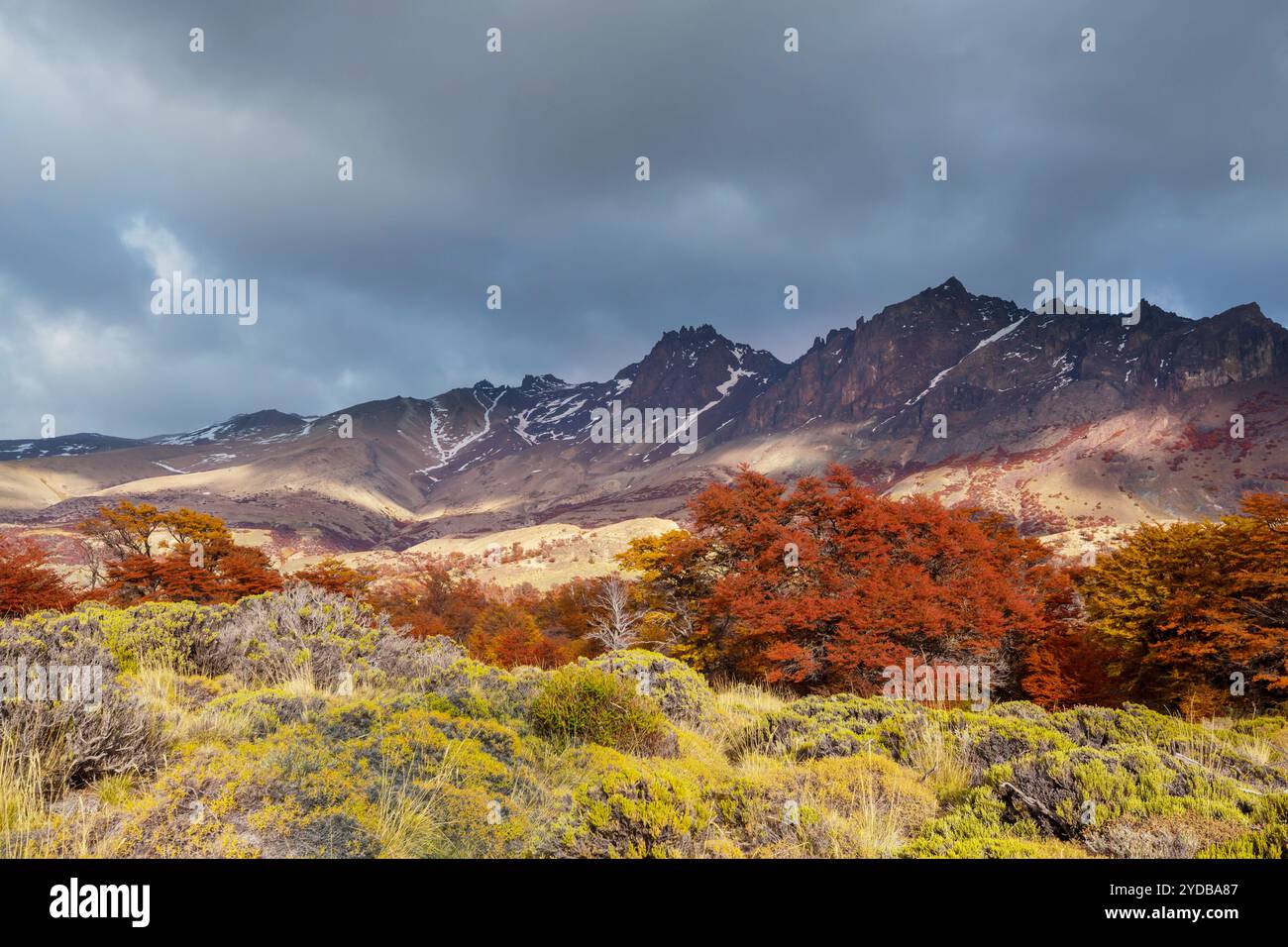 Autumn in Patagonia Stock Photo - Alamy