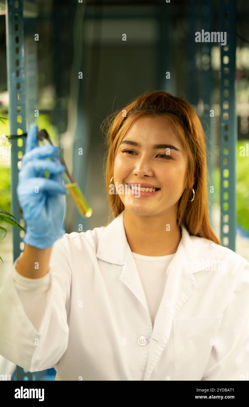 Scientist at cannabis farm with extracted cannabis oil Among the ...