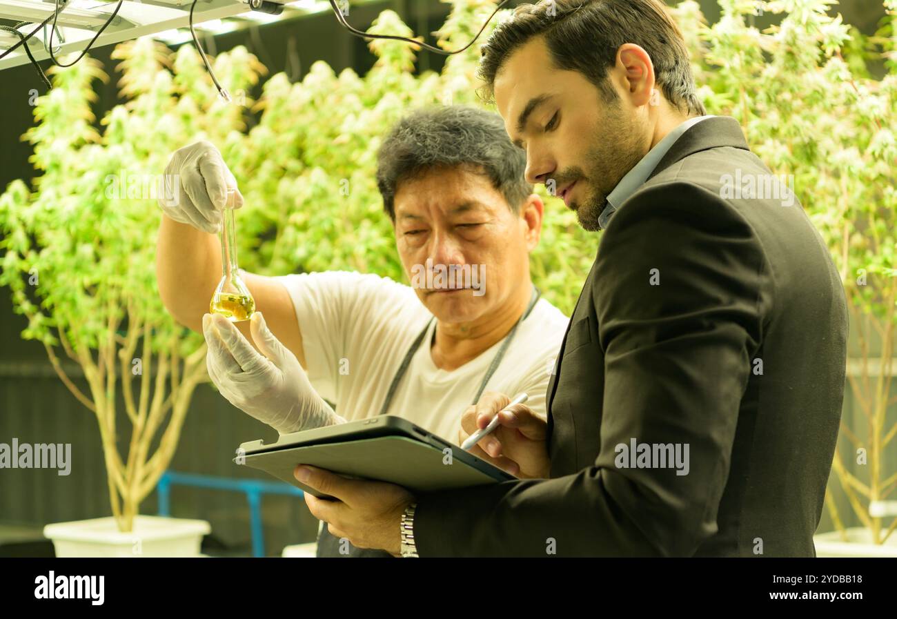 Farm owners and scientists who run the cannabis plantation. Verify the ...