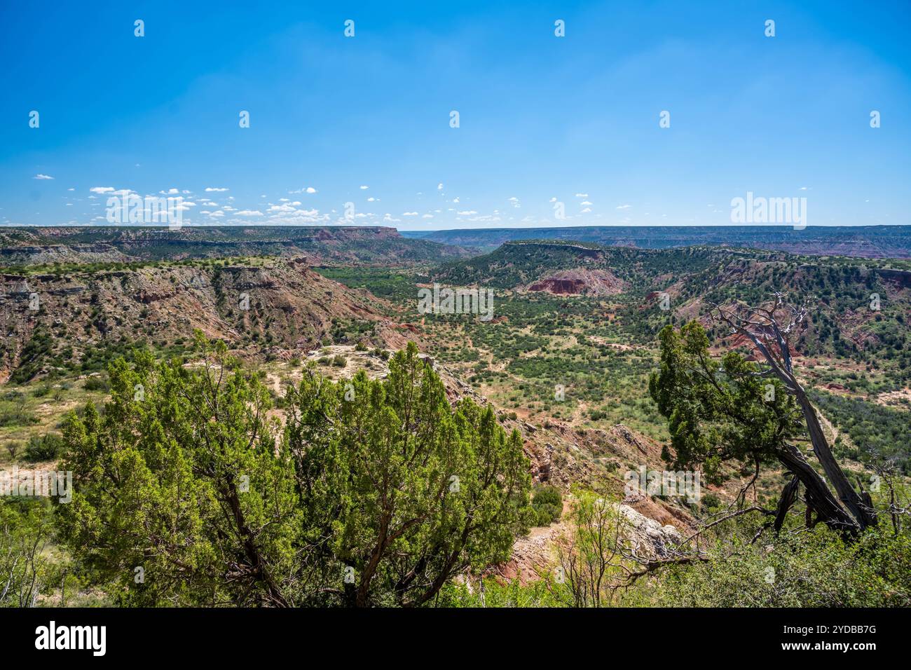 Epic forest landscape scenery from the walking trail of the park Stock ...