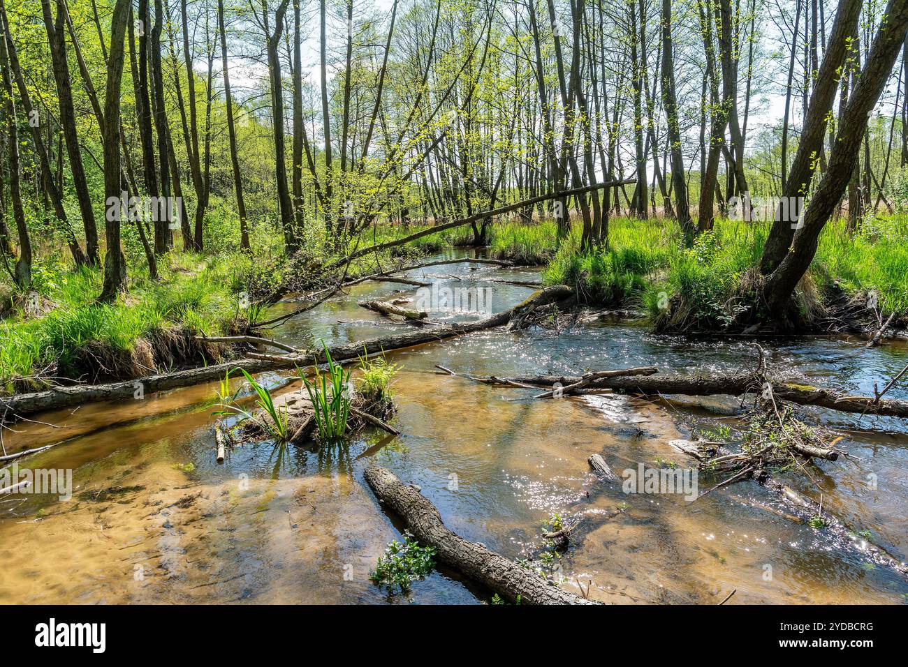 Biala river hi-res stock photography and images - Alamy