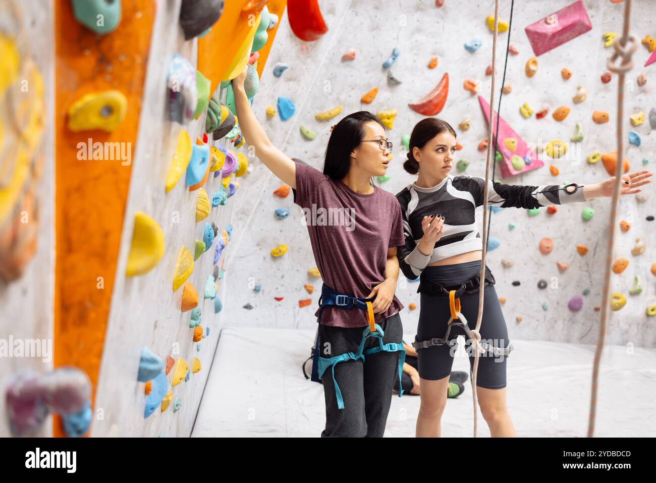 Two multiracial women doing rock climbing in gym. Caucasian and asian ...