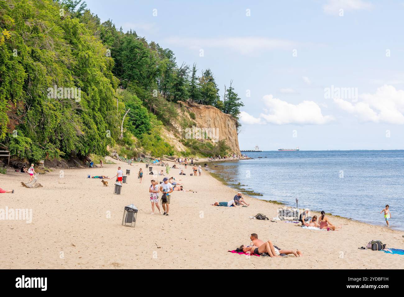 Cliff in Gdynia-Orlowo (Poland Stock Photo - Alamy