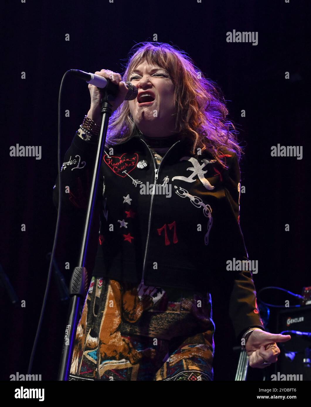 Punk rock band x hi-res stock photography and images - Alamy