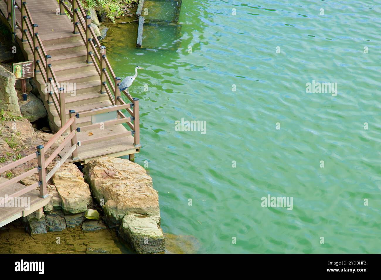 Wooden railing overlooking peaceful river hi-res stock photography and ...