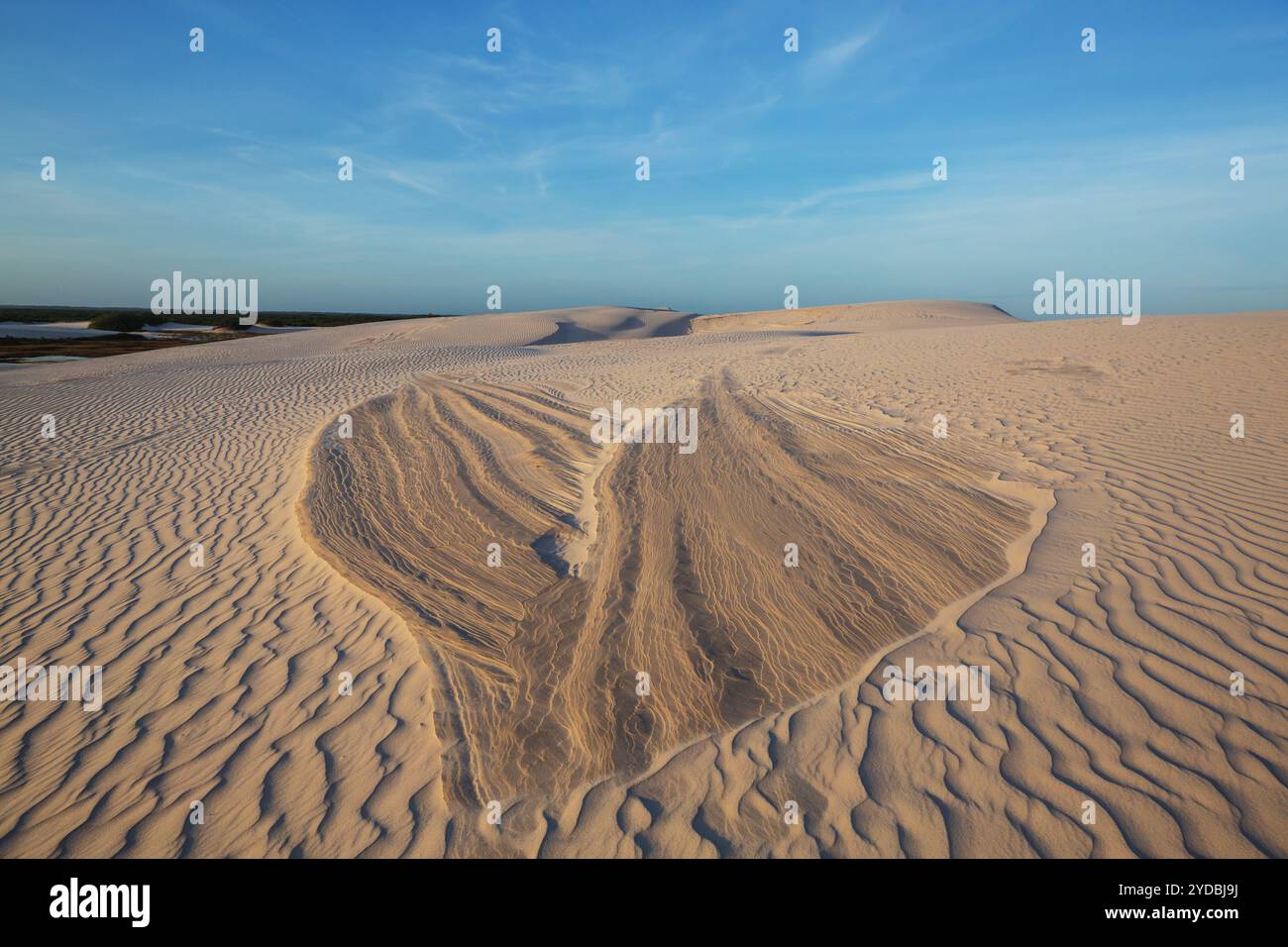 Sand dunes in northern Brazil at sunset Stock Photo - Alamy