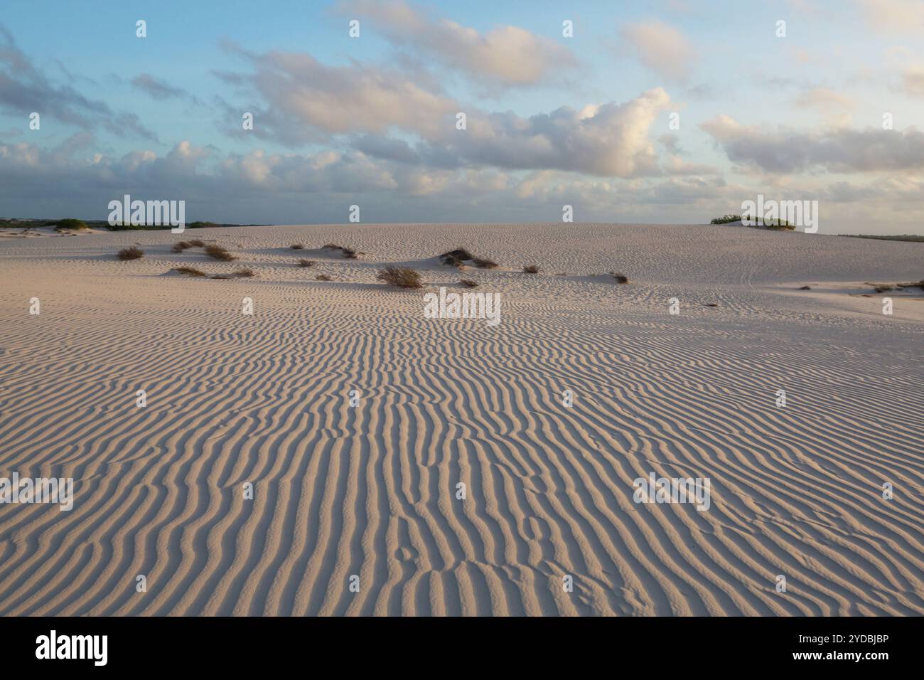 Brazilian resort hi-res stock photography and images - Alamy