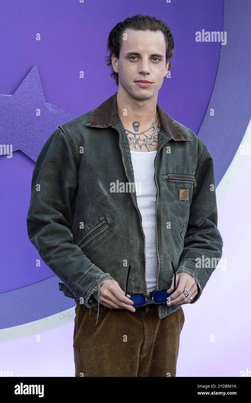 Los Angeles, USA. 25th Oct, 2024. Ryan Butler attends the arrivals of ...