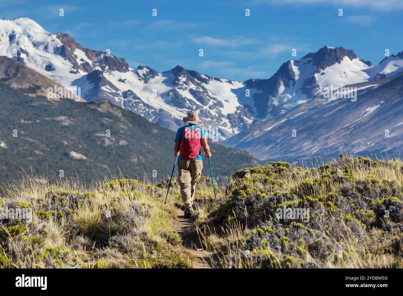 Trekking to the Fitz Roy massif in the Argentinian-Chilean Andes, South ...