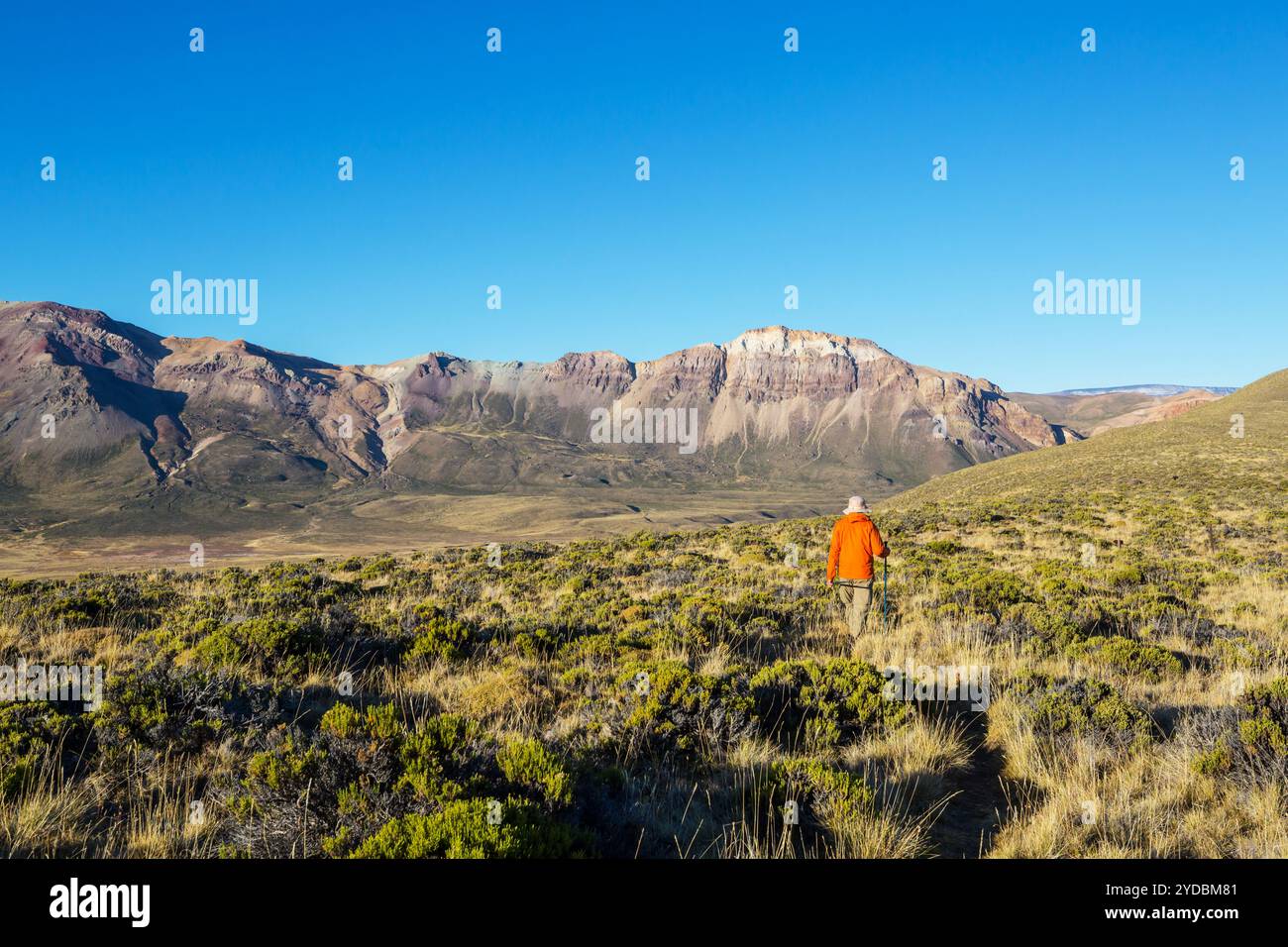 Trekking to the Fitz Roy massif in the Argentinian-Chilean Andes, South ...