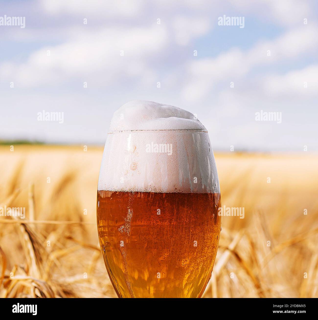 Field assortment hi-res stock photography and images - Alamy