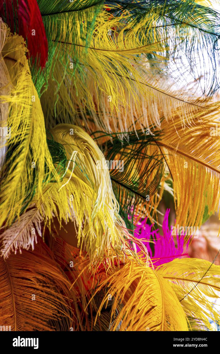 Colorful feathers and plumes to be used in the making of carnival ...