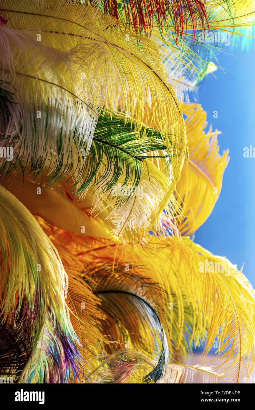 Colorful feathers and plumes that will be used to make carnival ...
