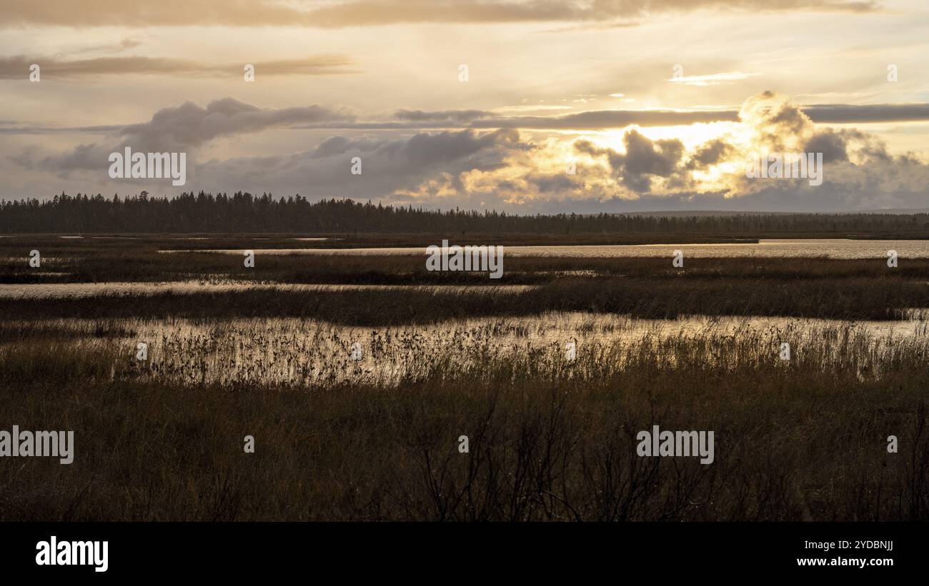 Sunset, lakes and moorland, Lapland, Finland, Europe Stock Photo - Alamy