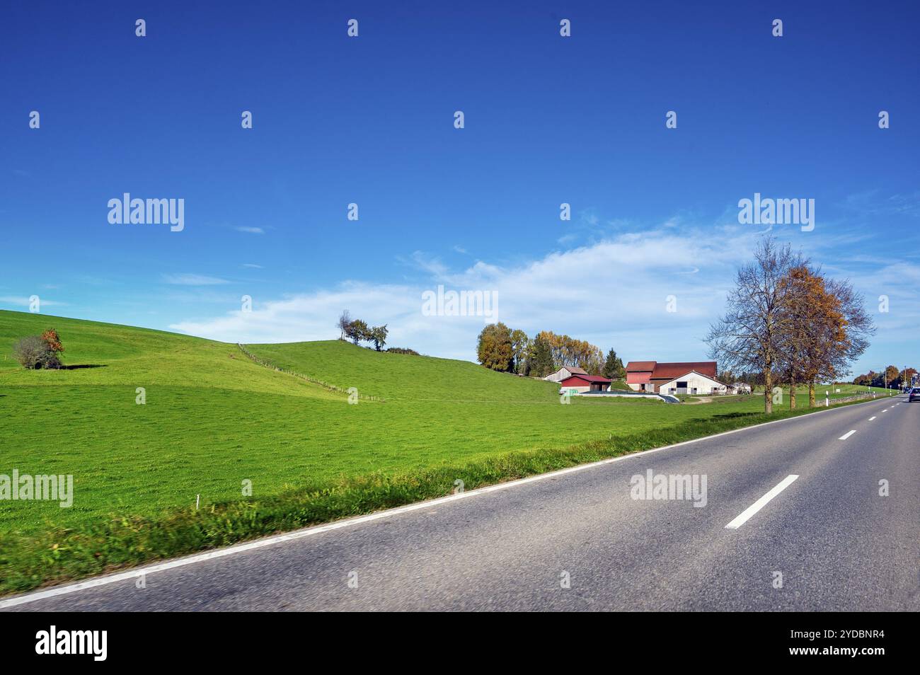 Autumn country road, meadows, trees and farm, blue sky near Leutkirch ...