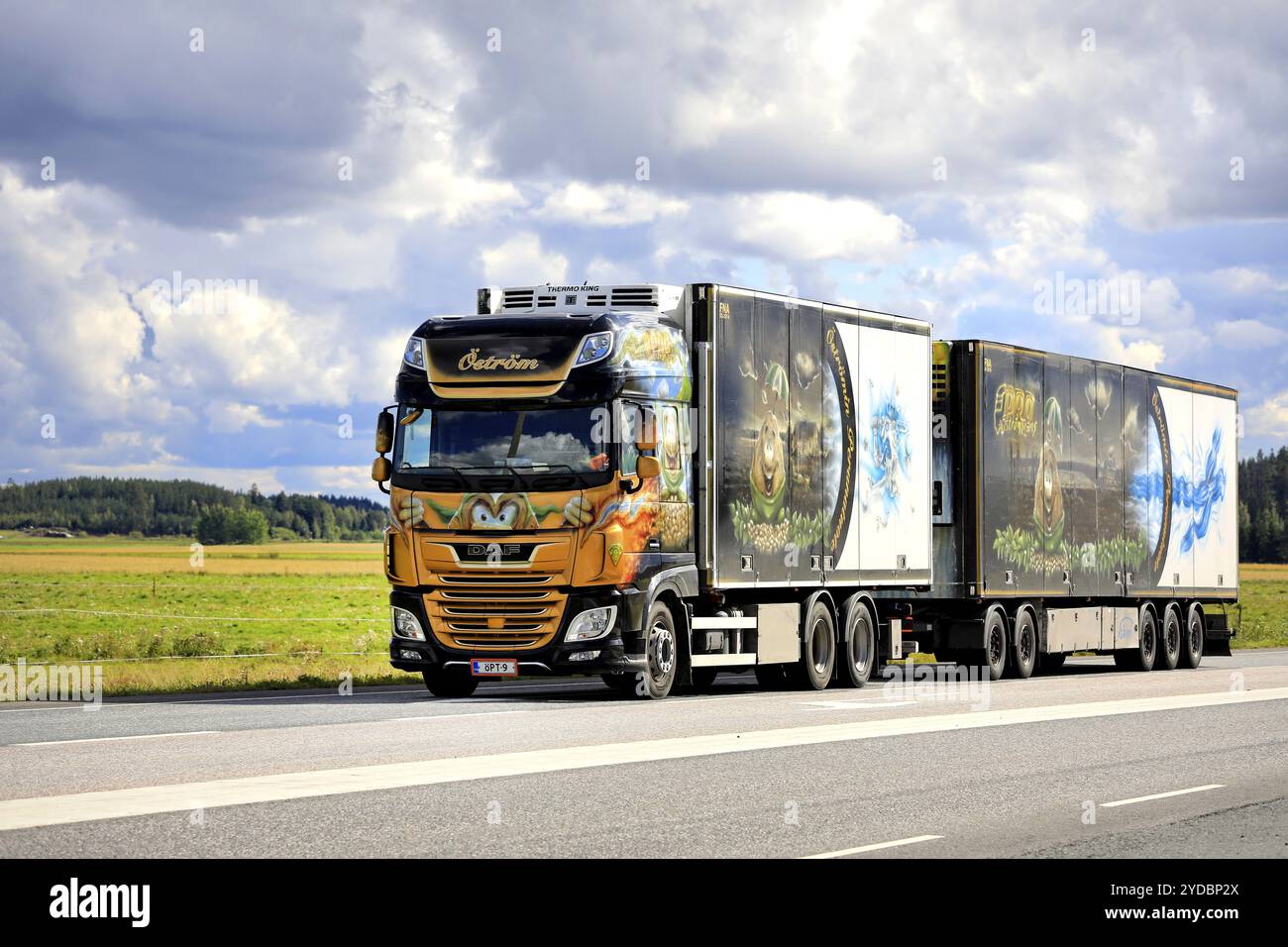 A beautifully customised DAF XF530 truck from Oestroem Pro Trans Oy ...