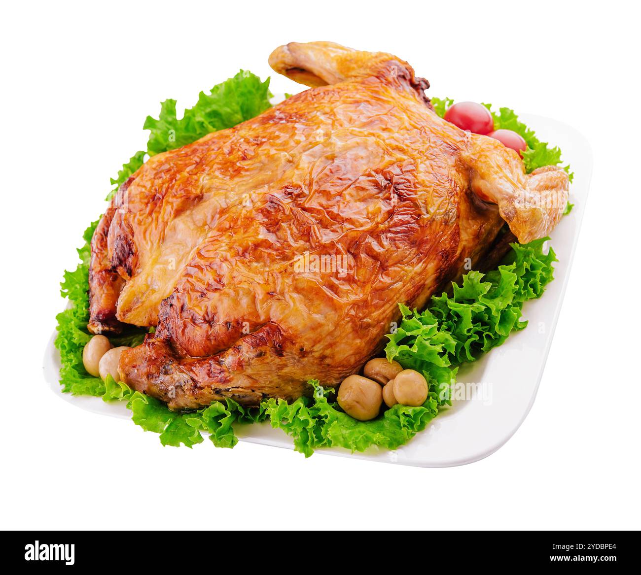 Food plate roasted turkey hi-res stock photography and images - Alamy