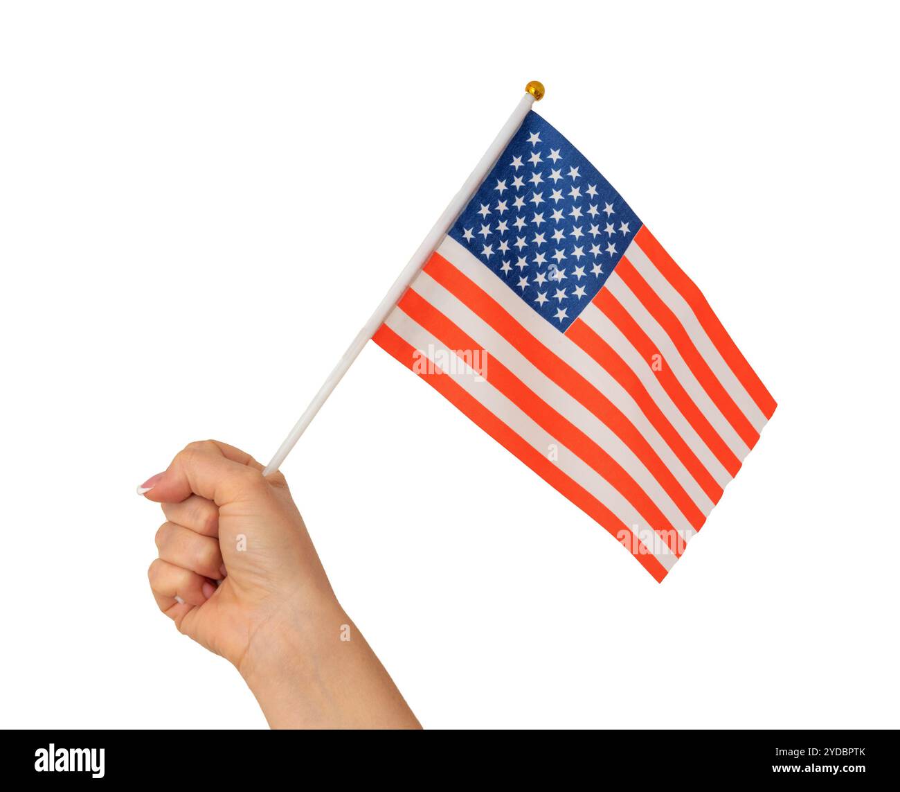 Female hand holding american flag isolated on white background Stock ...