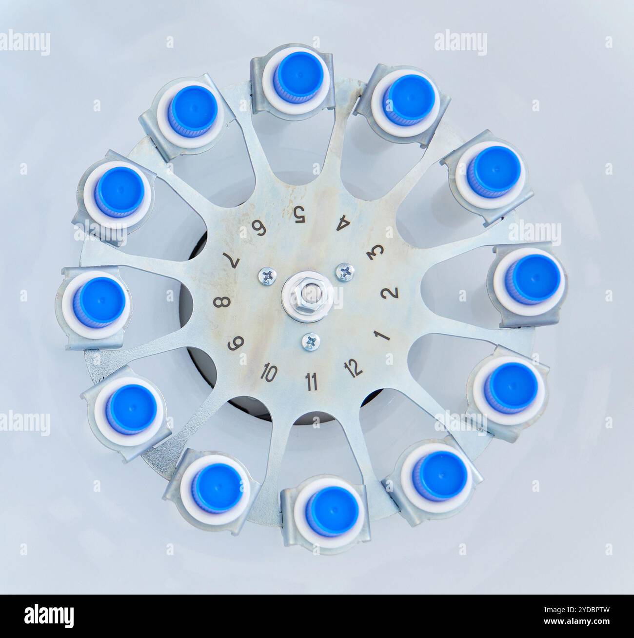 Platelet-Rich plasma preparation. Tubes with blood in Centrifuge Stock ...