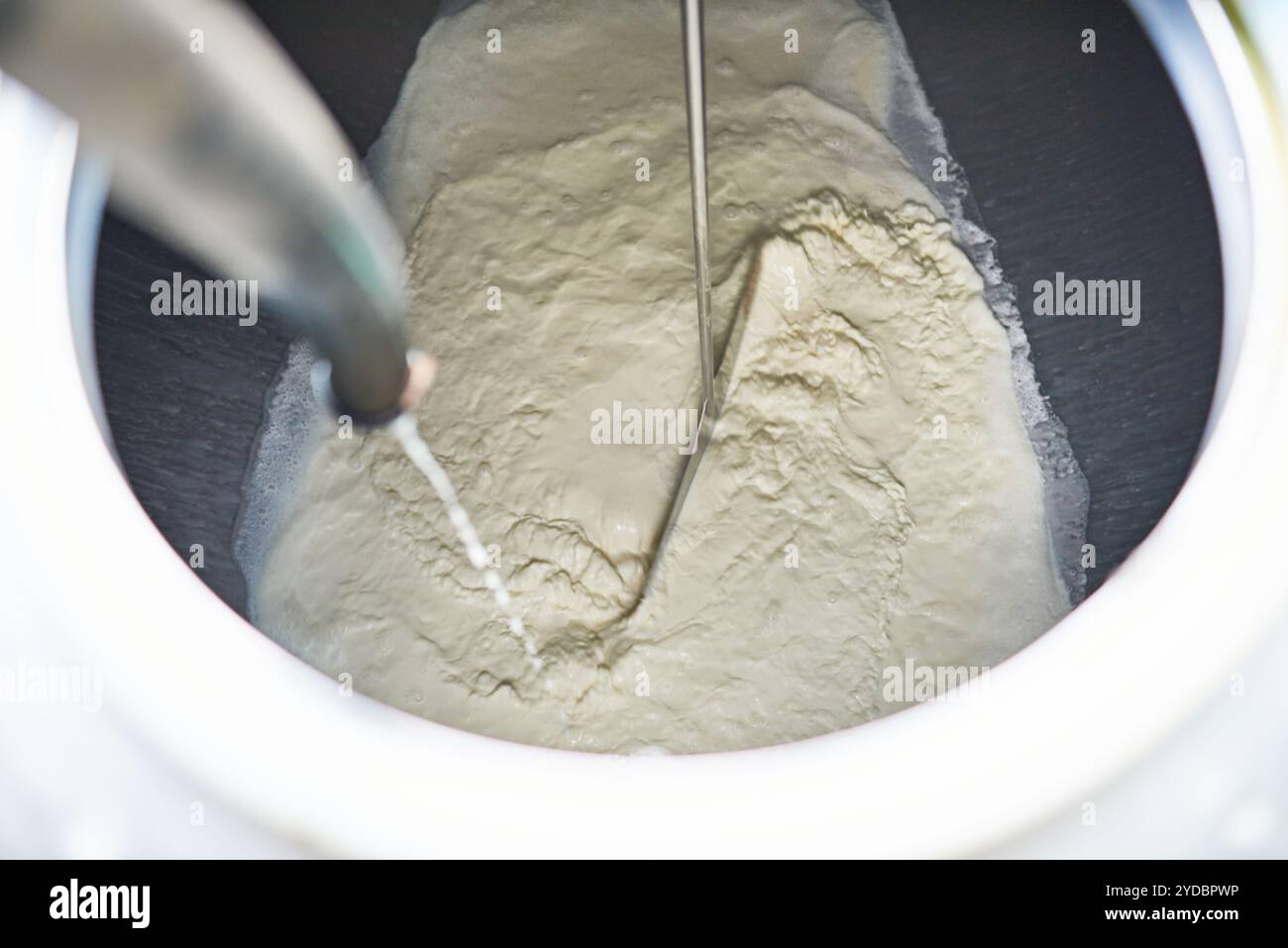 Tank, farming and milk in container for process, cheese production or ...