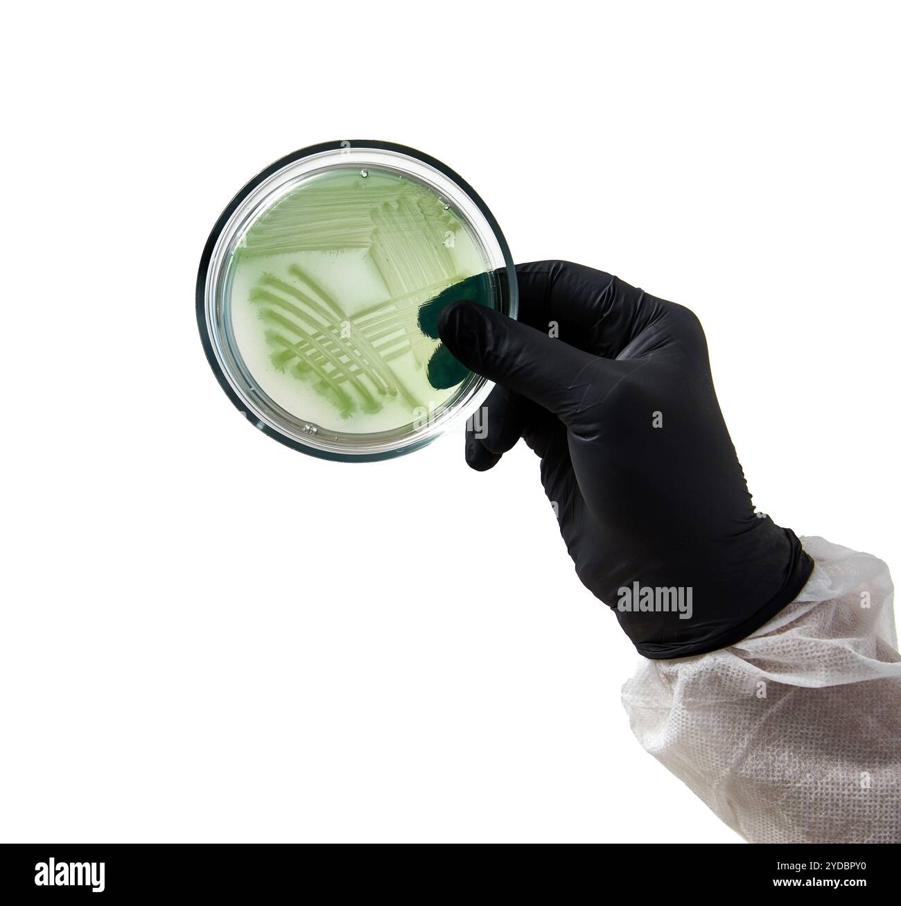 Sample plate hi-res stock photography and images - Alamy