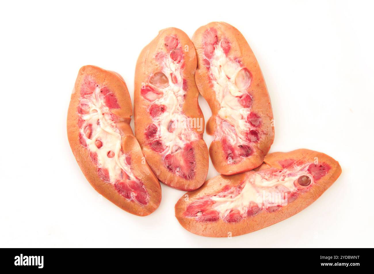 Pig kidney on a white background Stock Photo - Alamy
