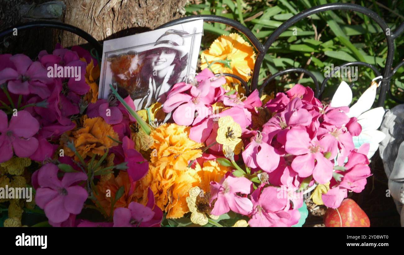 Los Angeles, California USA 25th October 2024 Virginia Rappe Grave in ...