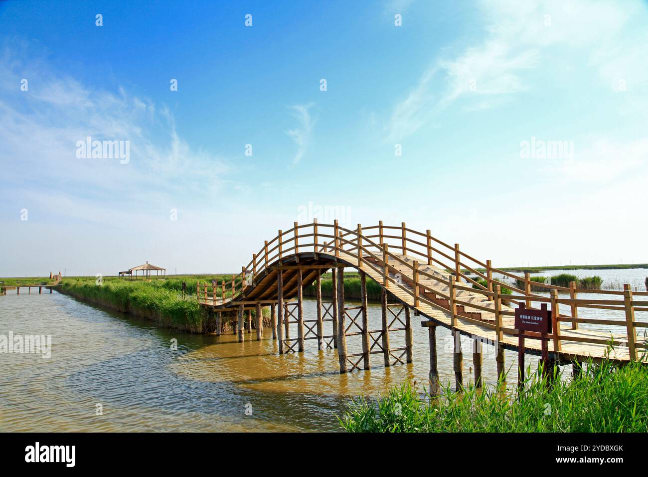 Wooden bridge under the blue sky in the wetland park Stock Photo - Alamy