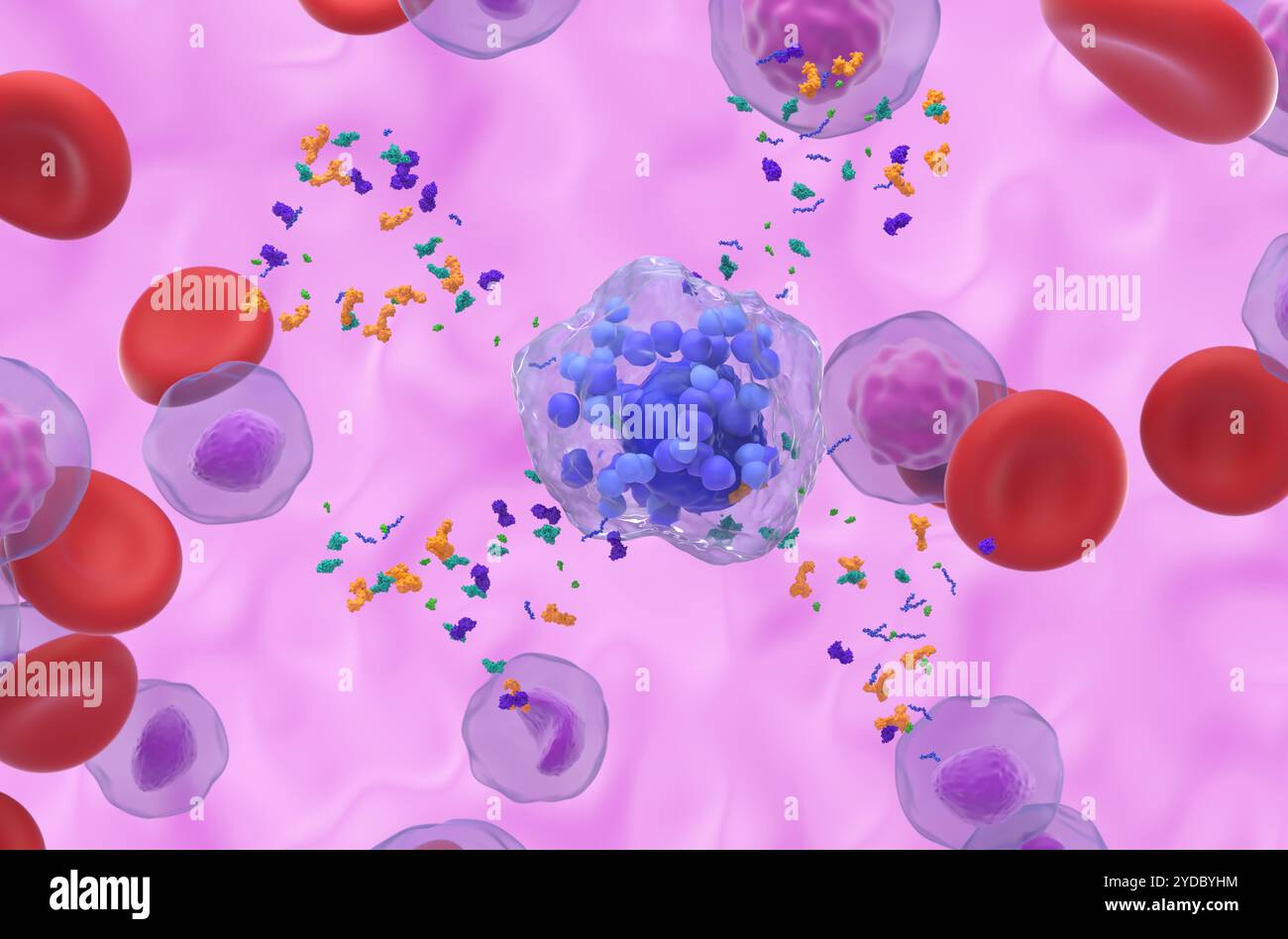 Activated mast cells starting emitting granules - closeup view 3d illustration Stock Photo - Alamy