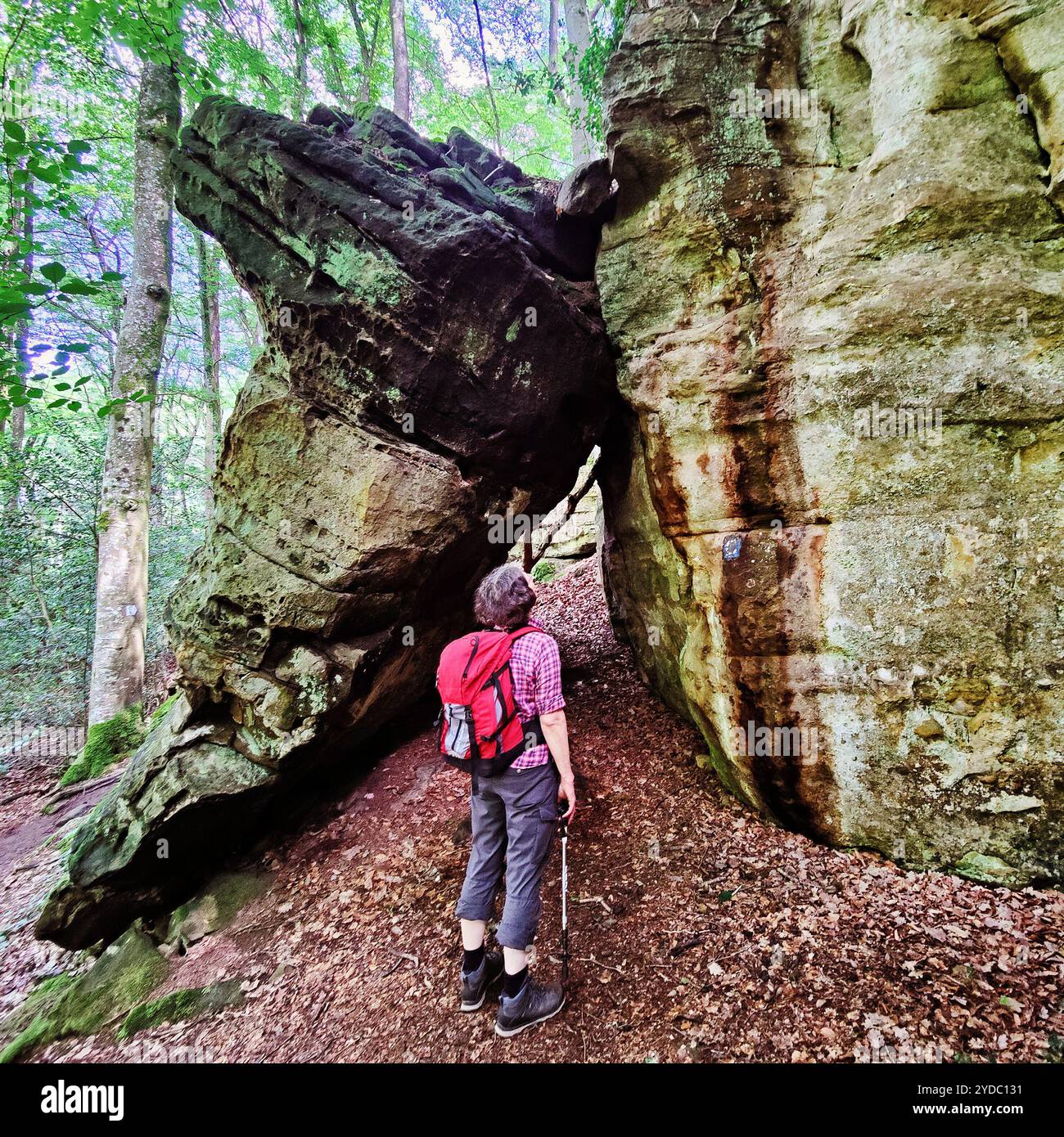 Imposing rocky landscapes in the forest, Muellerthal Trail, Muellerthal ...