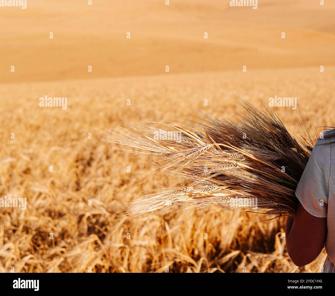 Woman in white dress stands hi-res stock photography and images - Alamy
