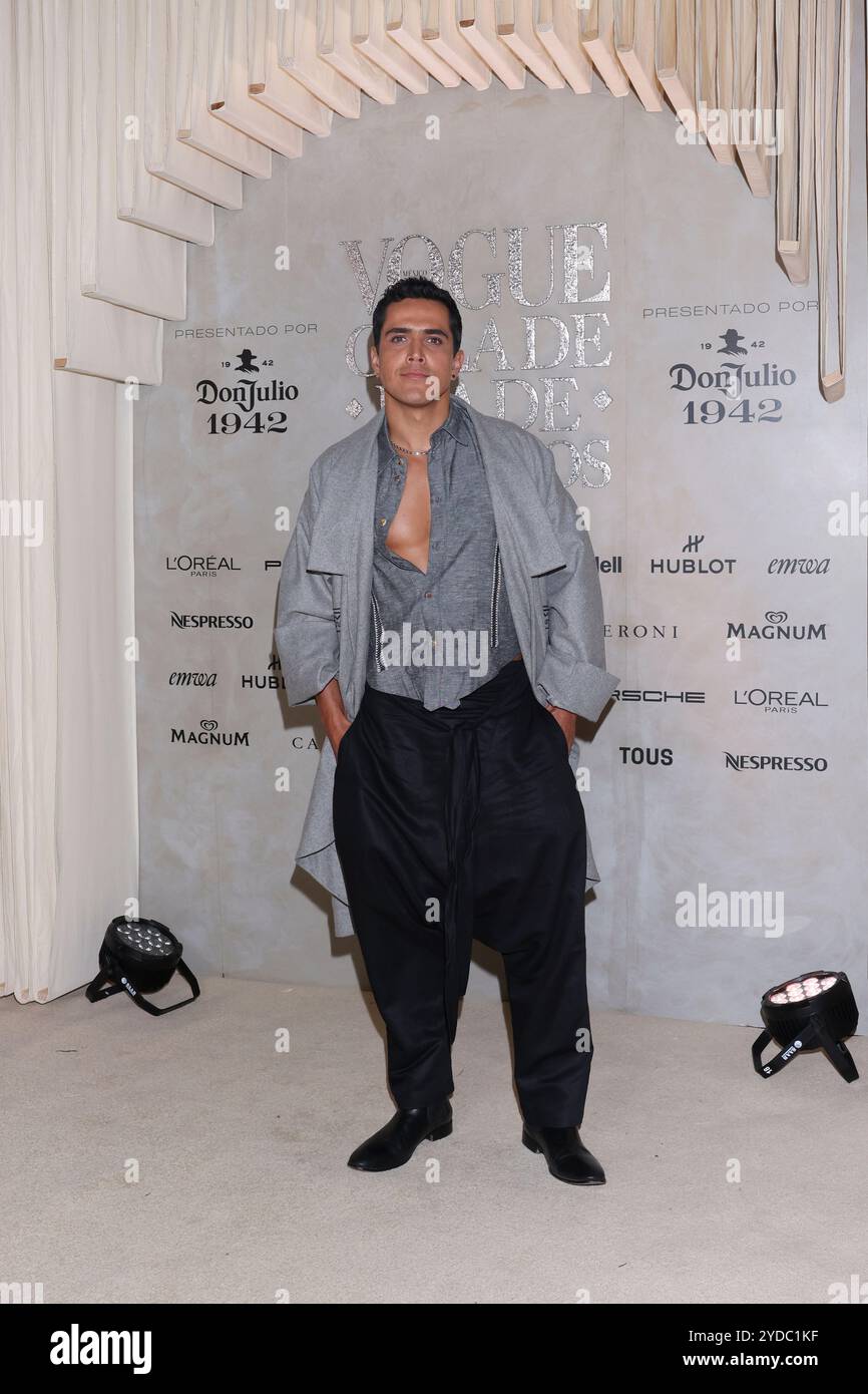 Mexico City, Mexico. 24th Oct, 2024. Mario Moran attends the red carpet ...