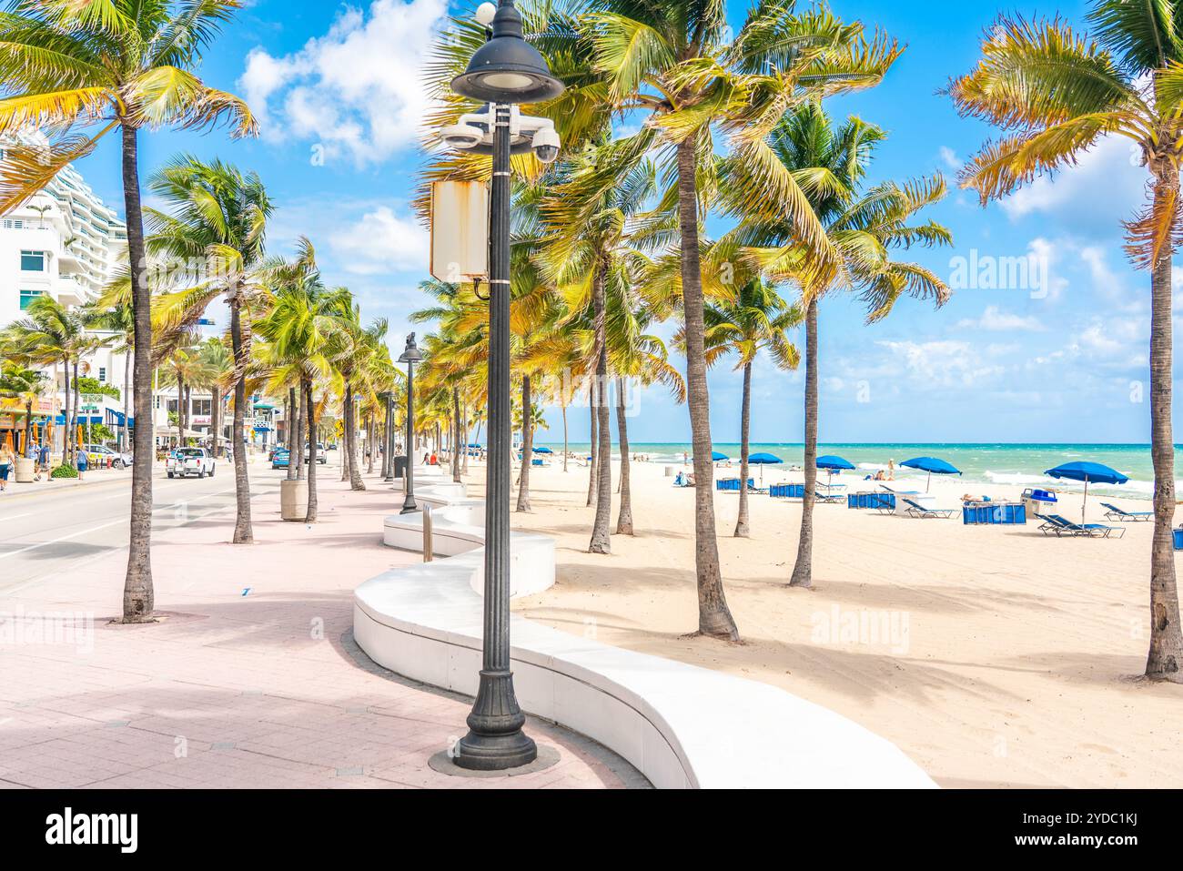 Seafront beach promenade with palm trees on a sunny day in Fort ...