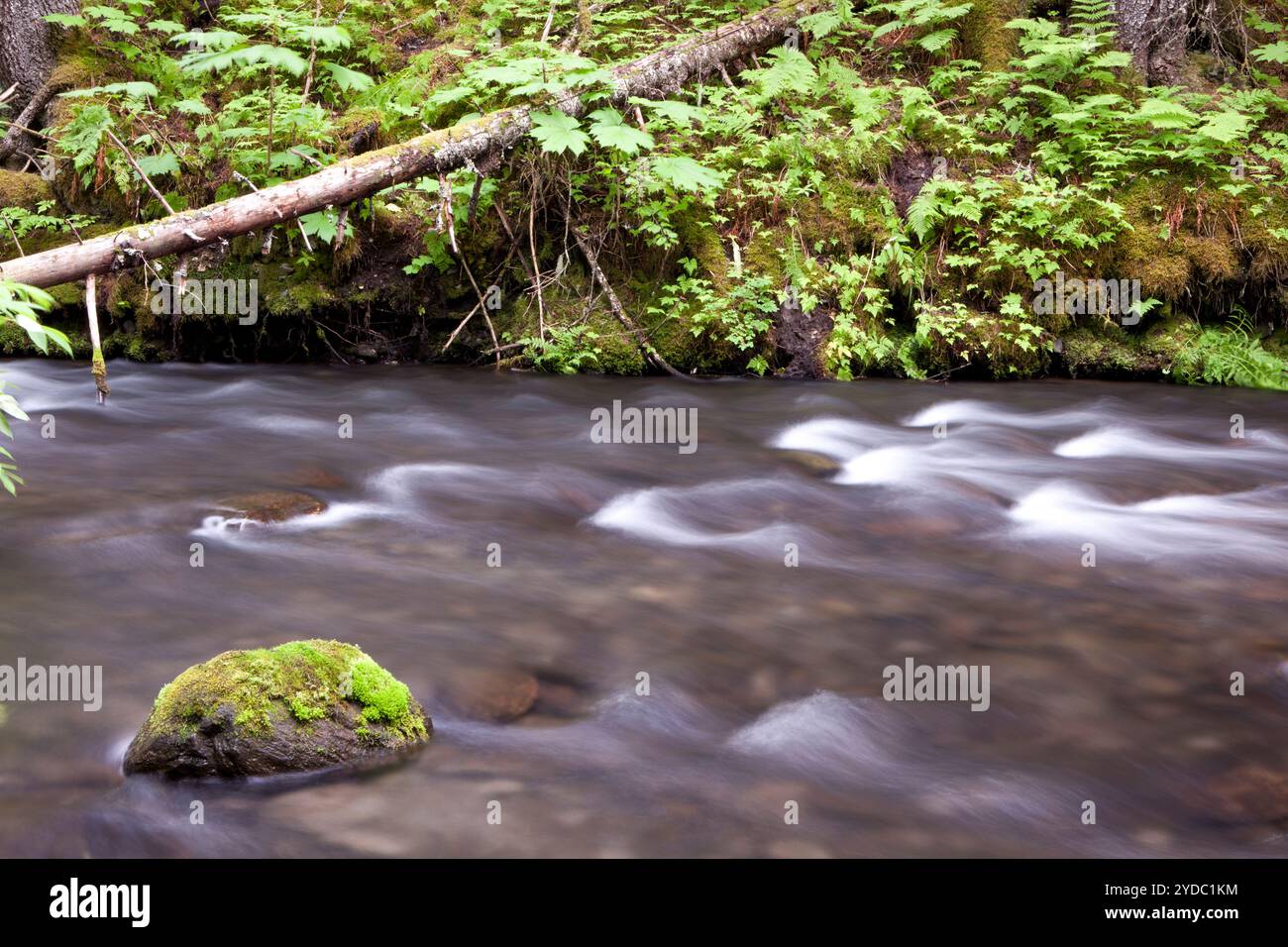 Resurrection river seward alaska hi-res stock photography and images ...