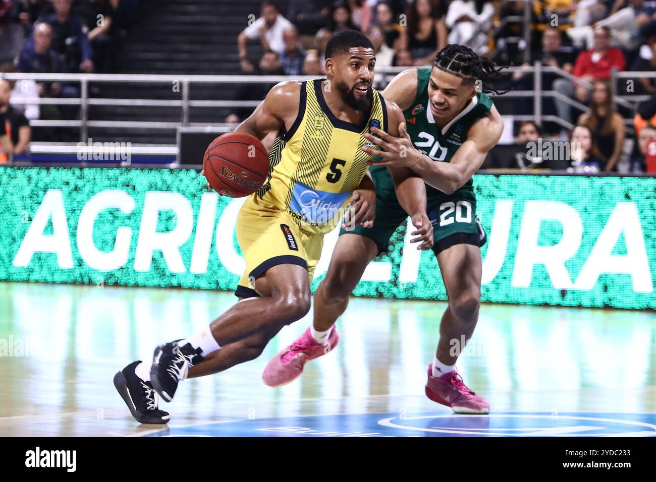 David de julius hi-res stock photography and images - Alamy