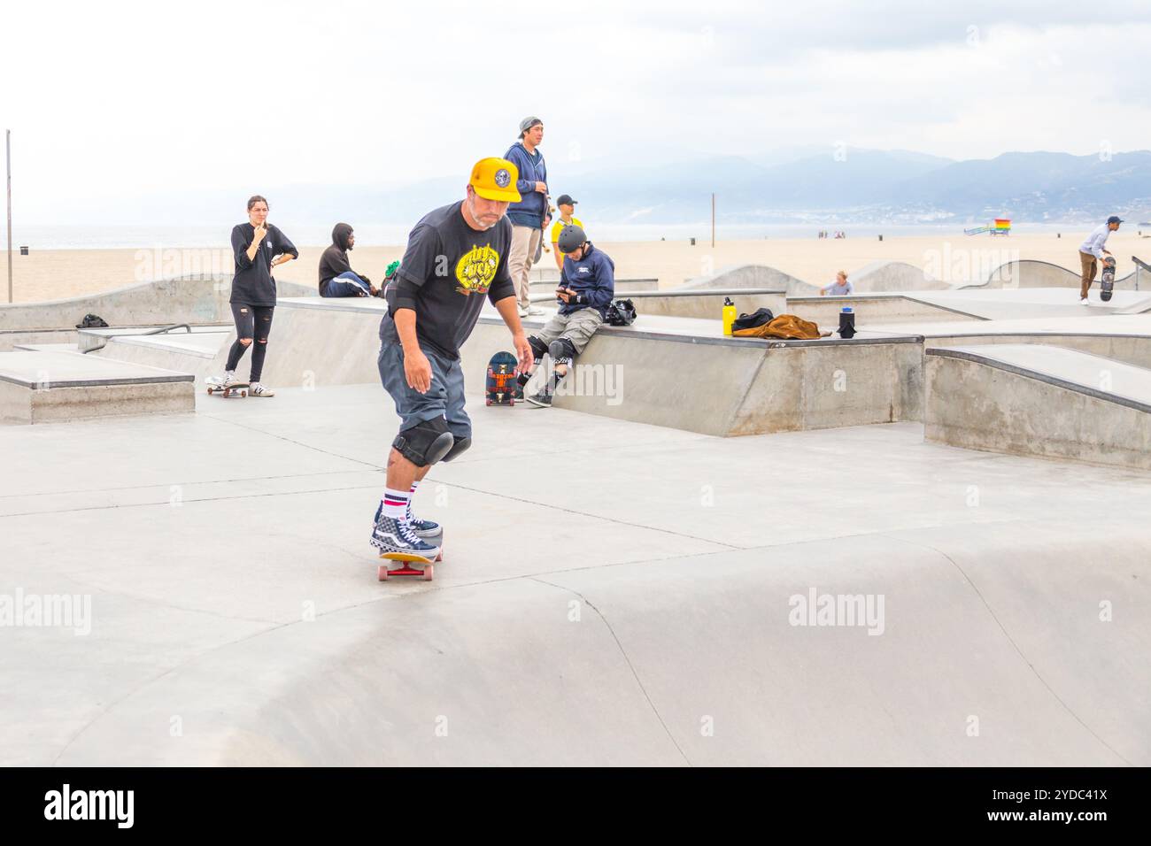Concrete ramps and palm trees at the popular Venice beach skateboard ...