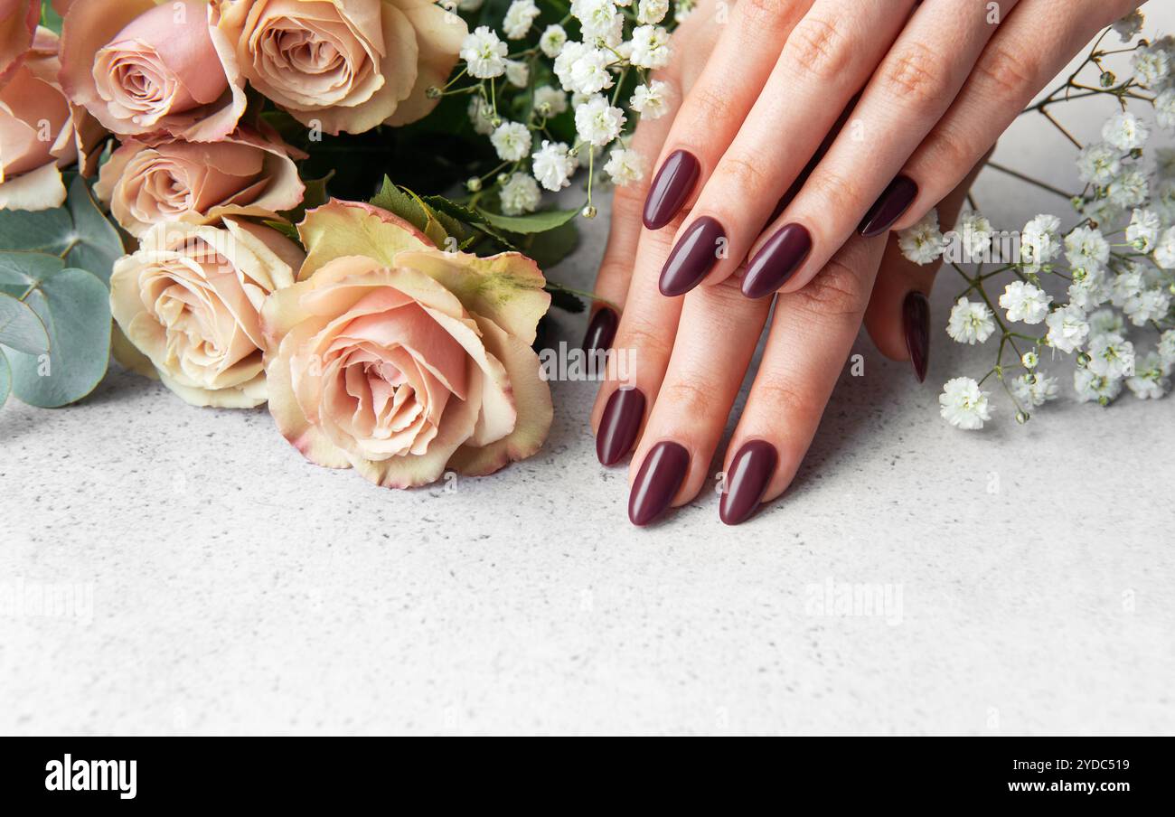 Dark purple roses hand hi-res stock photography and images - Alamy
