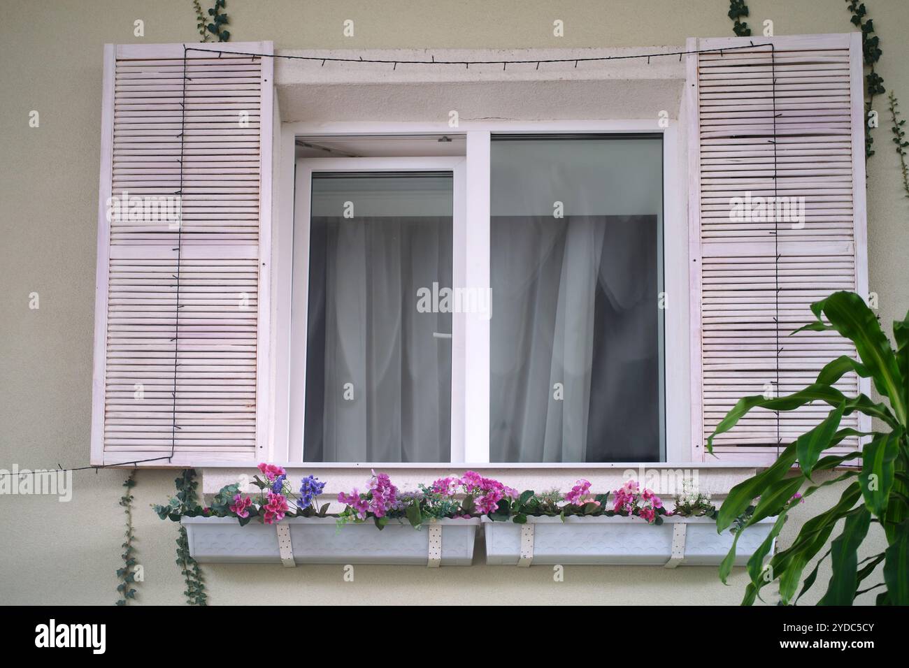 The white window of the house with shutters and flowers. Plants on the ...