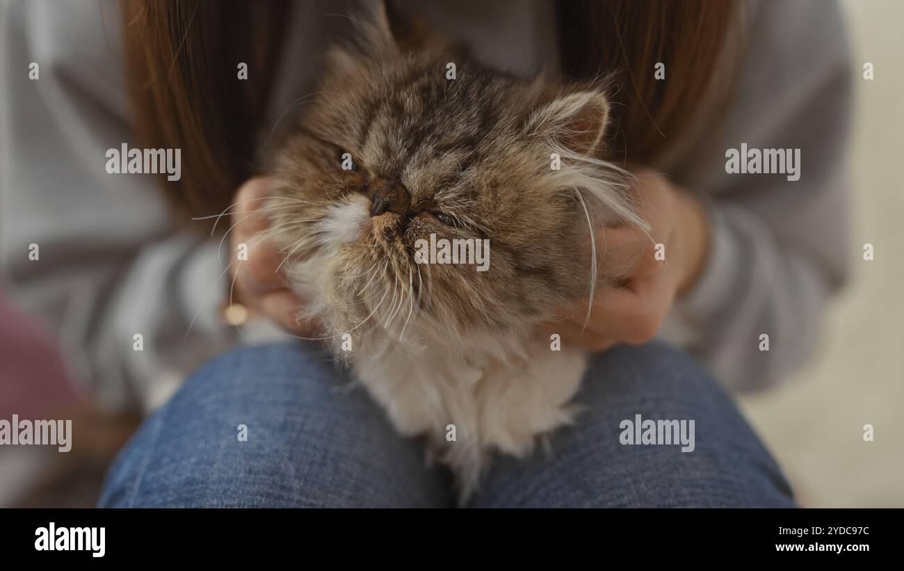 A woman gently handles a fluffy cat in a cozy living room, highlighting ...