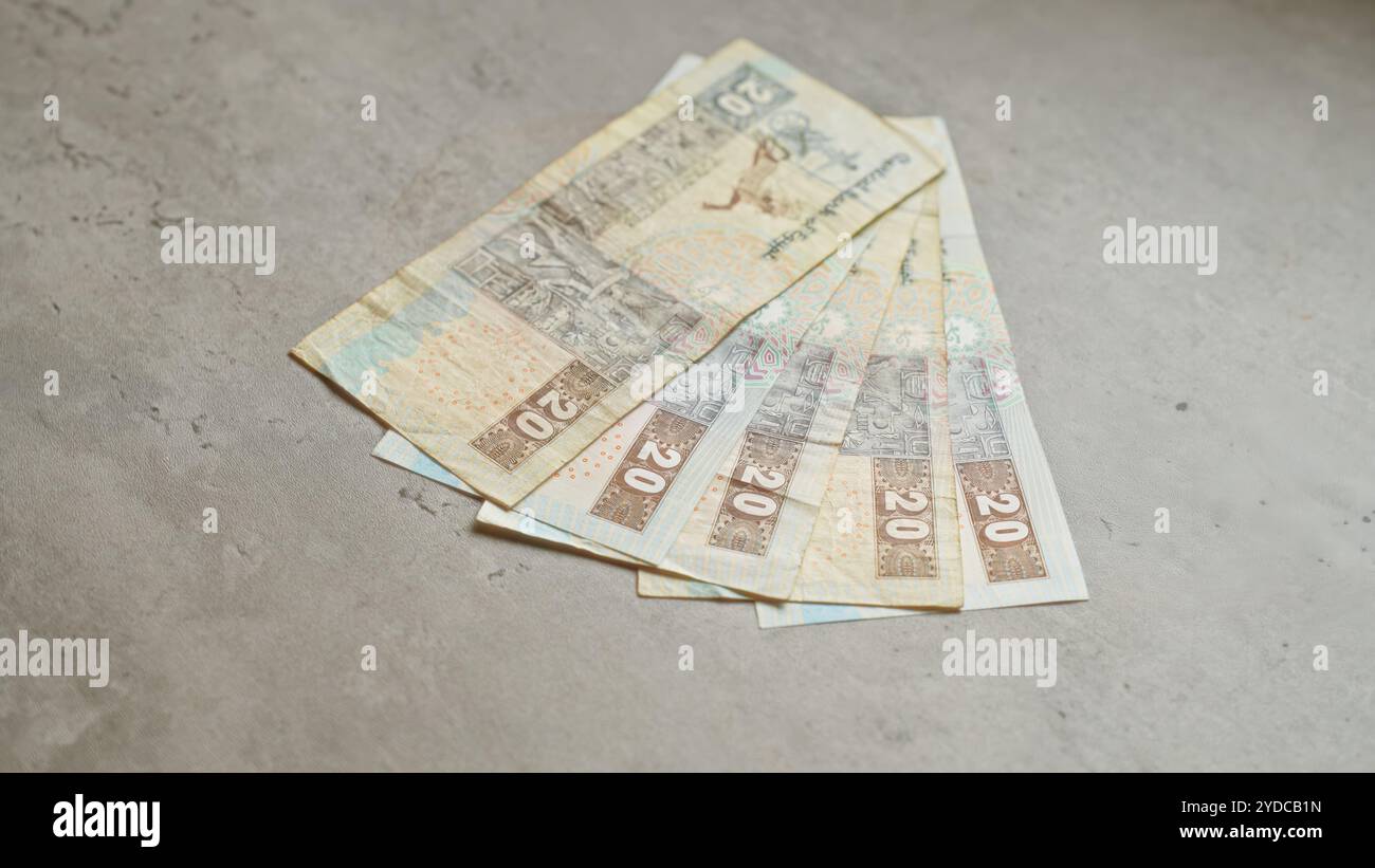 Five egyptian banknotes of twenty pounds laid out on a concrete surface ...