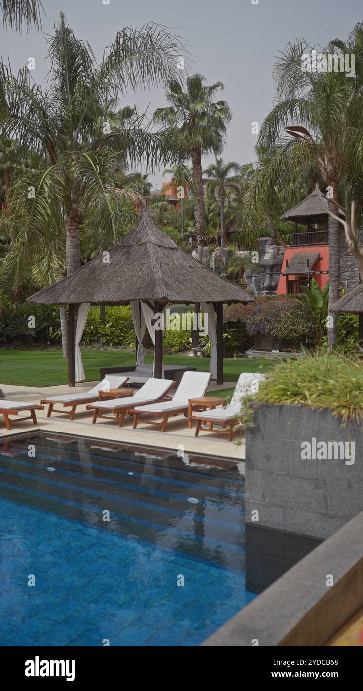 Luxurious tropical resort pool with loungers and thatched cabanas surrounded by palm trees Stock ...