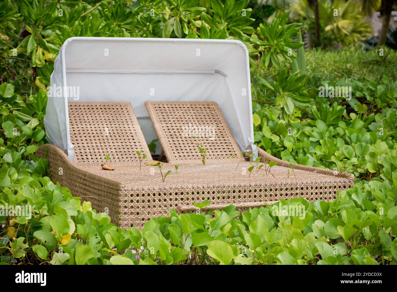 Strandbett hi-res stock photography and images - Alamy