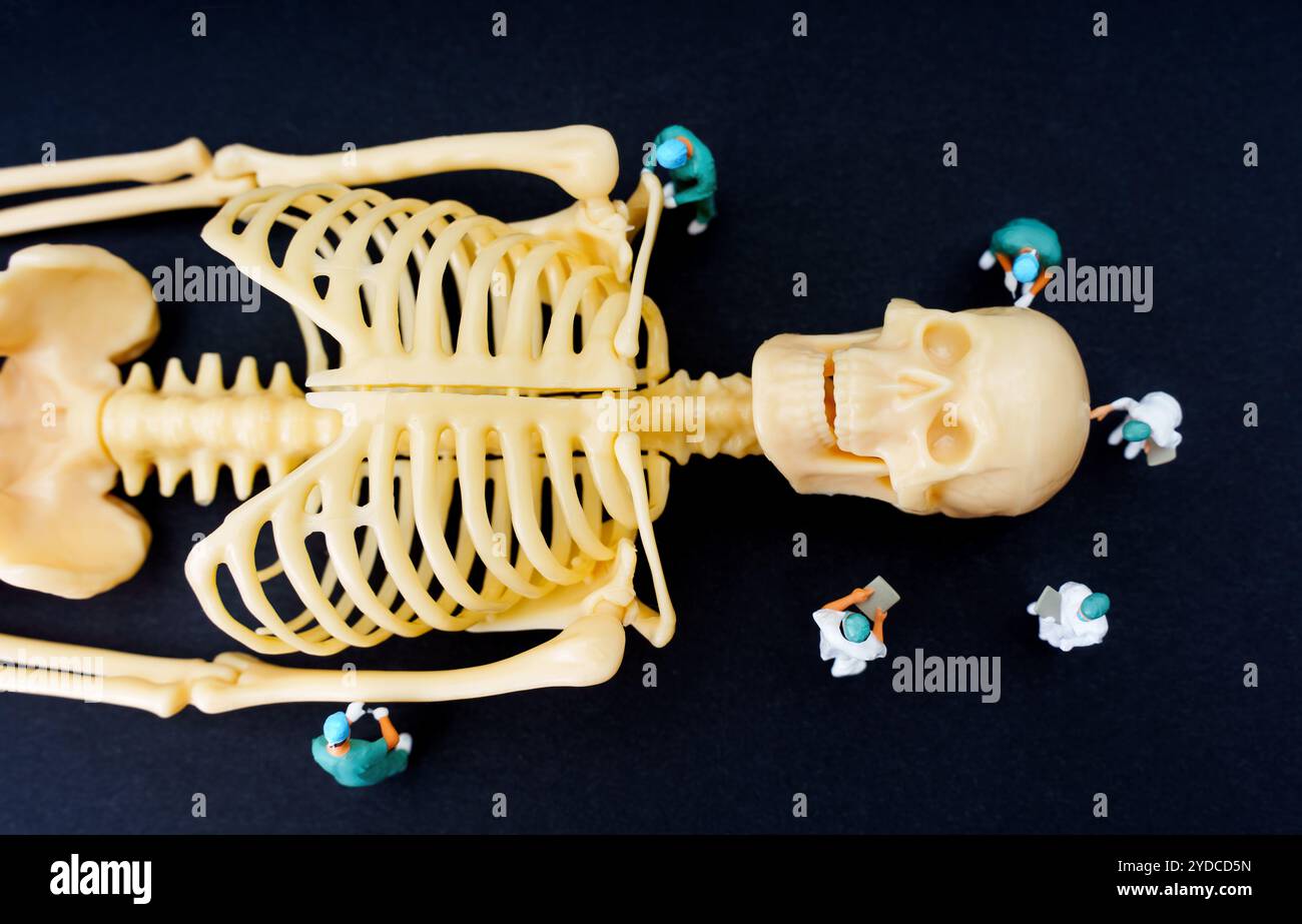 Human skeleton model surrounded by miniature surgeons on a black ...