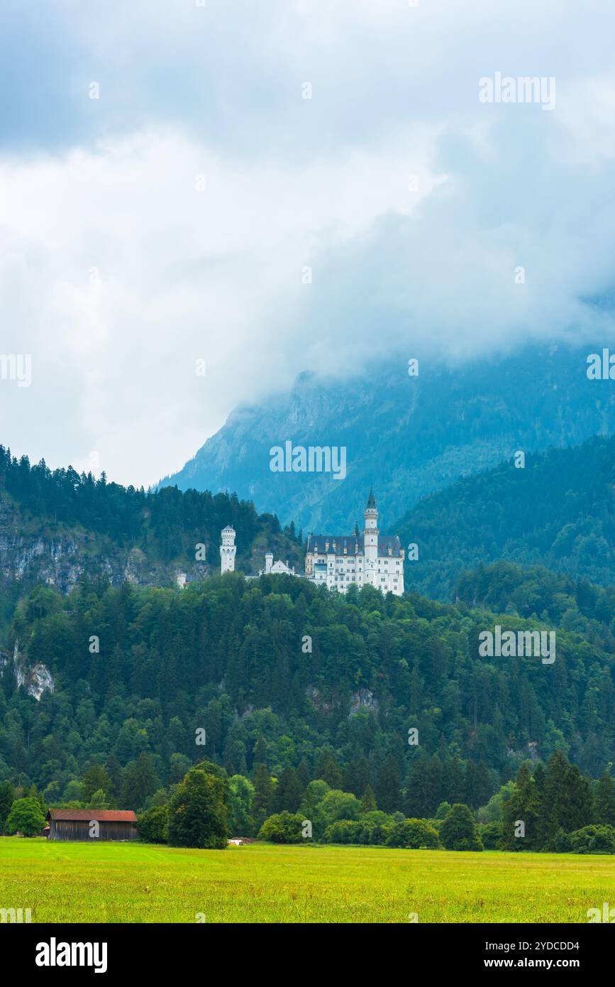 Bavarian Neuschwanstein Castle view Stock Photo - Alamy