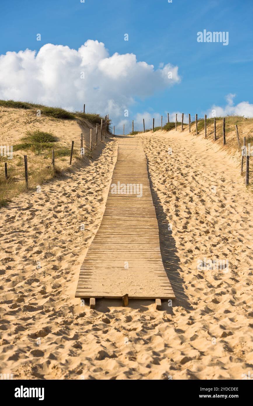 Wooden footpath through dunes at the ocean beach Stock Photo - Alamy