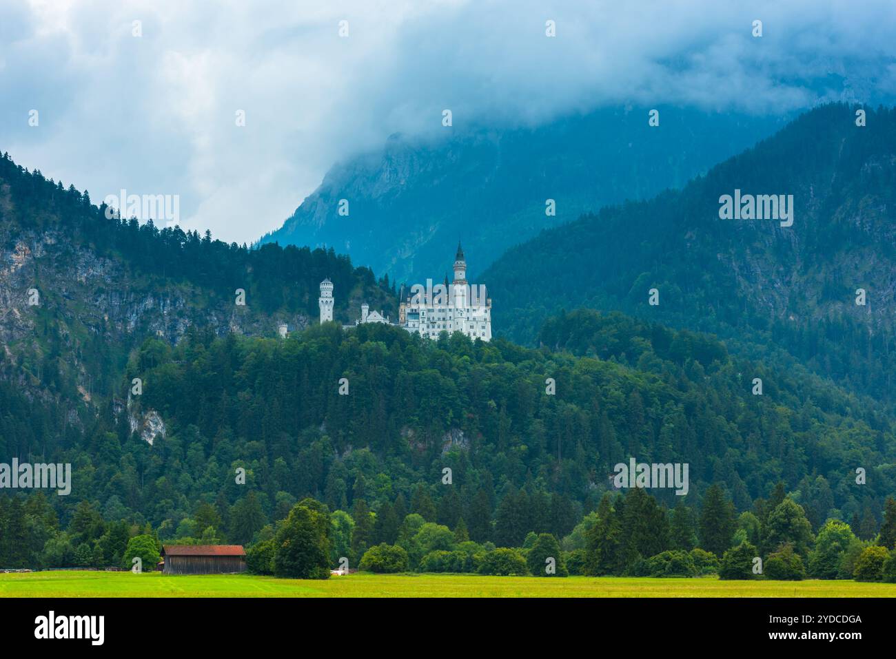 Bavarian Neuschwanstein Castle view Stock Photo - Alamy
