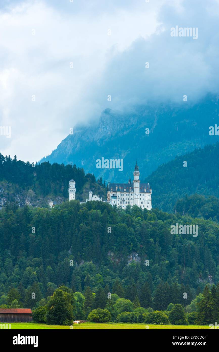 Bavarian Neuschwanstein Castle view Stock Photo - Alamy