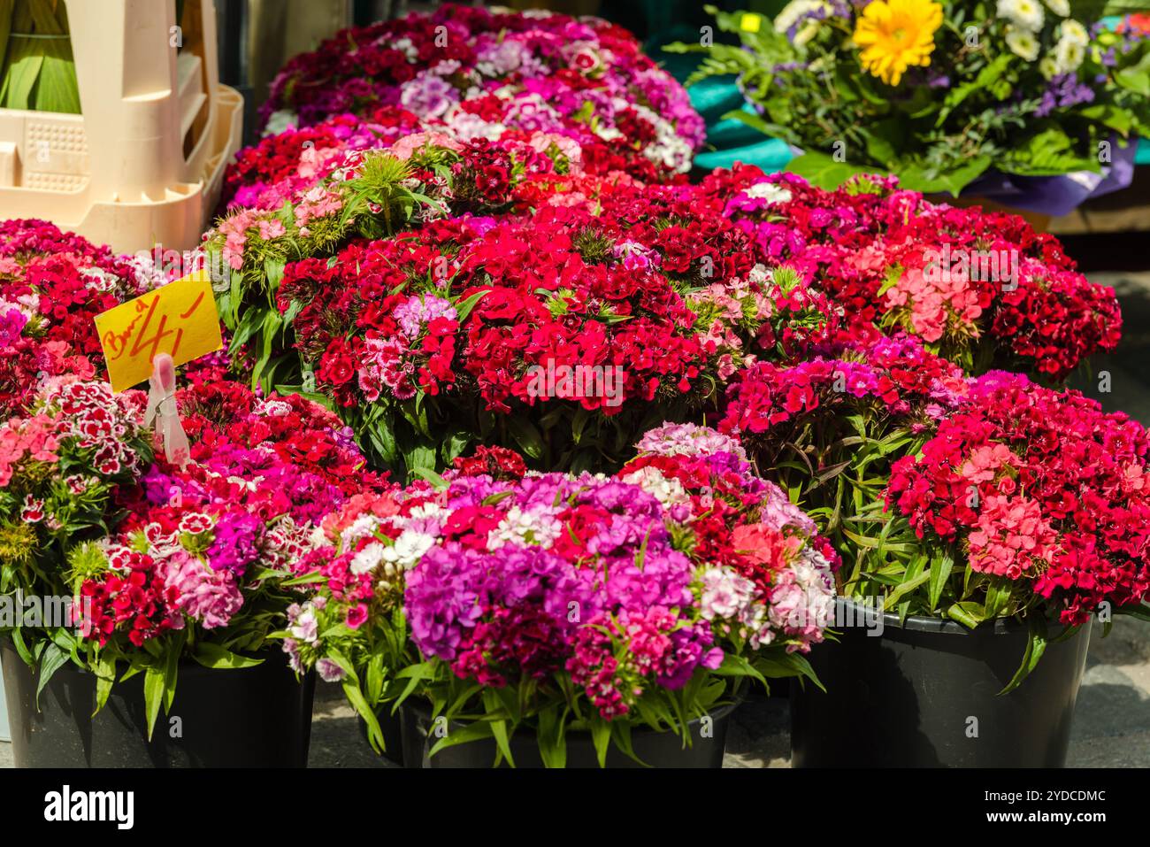 Beautiful bouquets pink flowers hi-res stock photography and images - Alamy