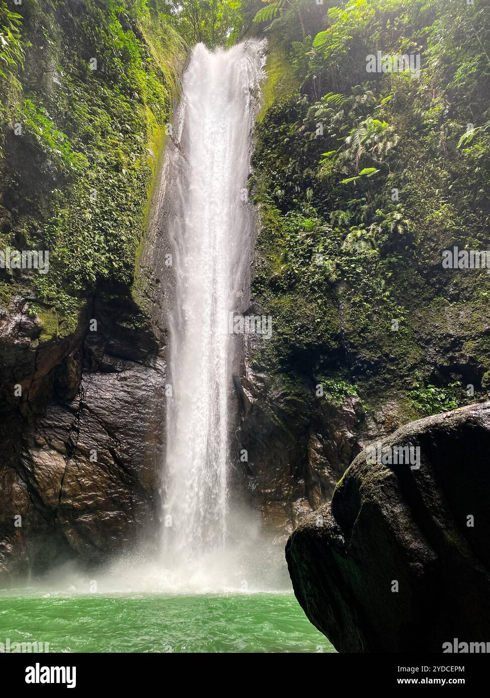 Rapid stream over green basin. Casaroro Falls in Dumaguete. Philippines ...